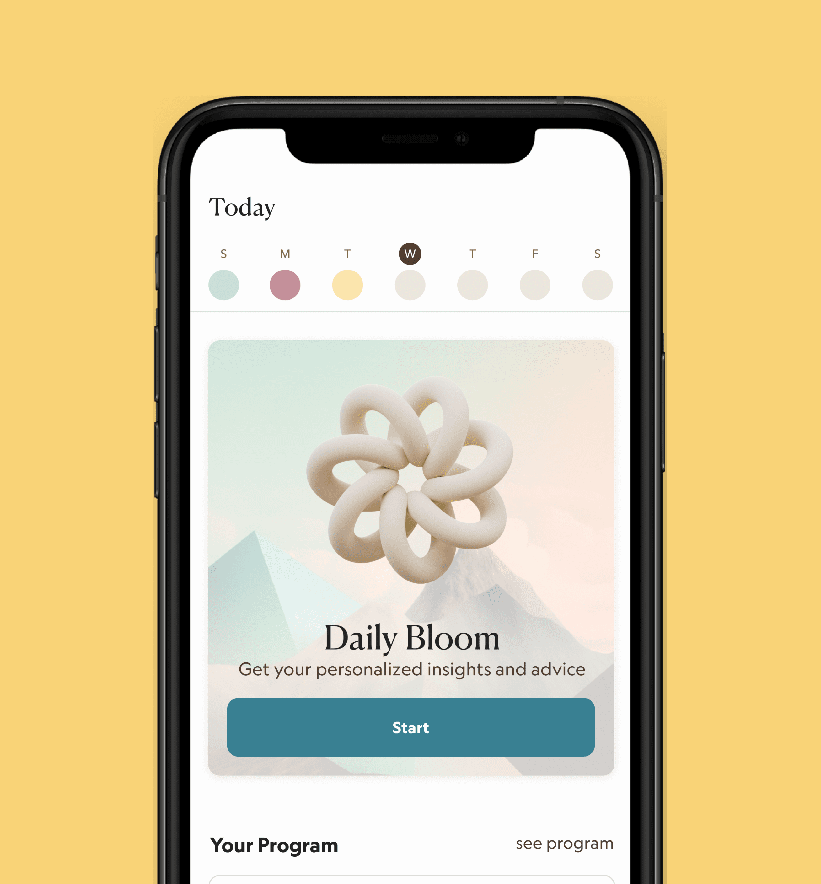 Bloom - Research, Strategy, Positioning & Messaging, Branding, UX/UI ...